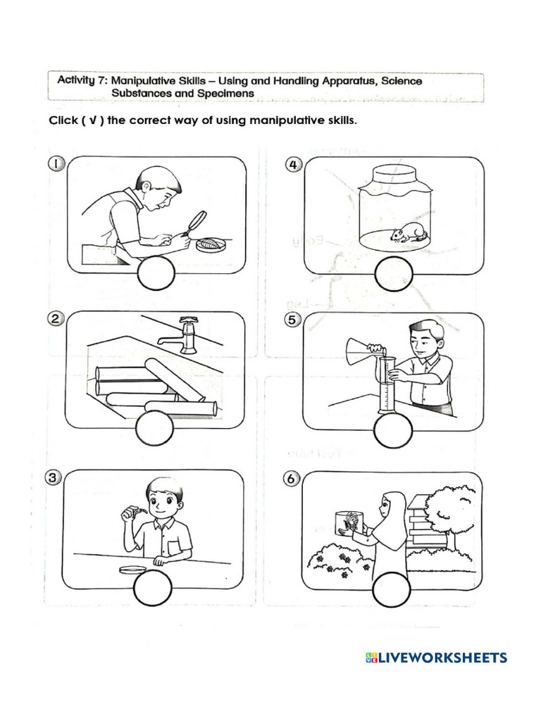 Skill Image Pdf