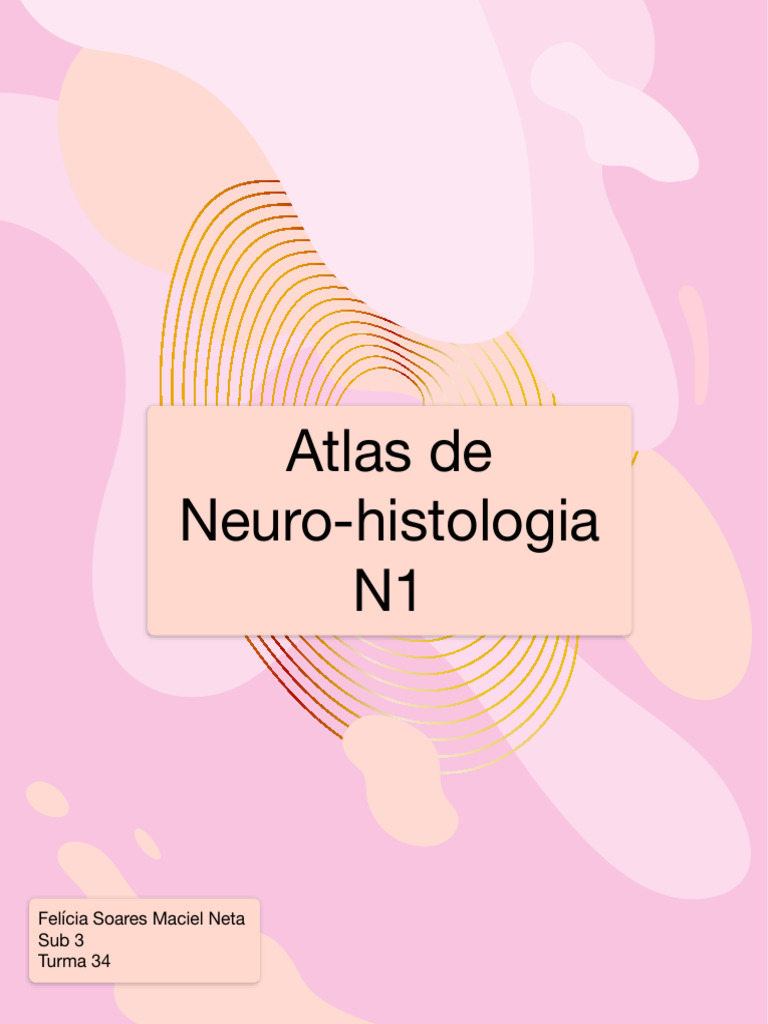 Atlas de Neuro-histologia: Estruturas e Funções | PDF | Sistema nervoso ...