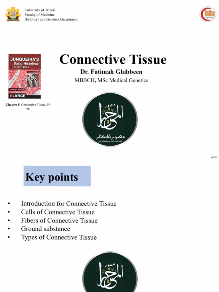 Connective Tissues Lab 2024 | PDF