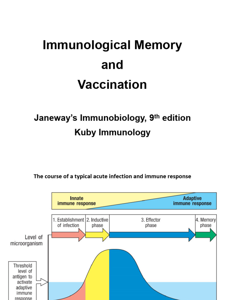 10 - Immunological memory and vaccination(1) | PDF | Vaccines | T Cell