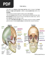 Netter - Atlas of Human Anatomy | PDF | Abdomen | Pelvis