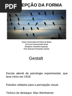 As 8 Leis da Gestalt Explicadas | PDF | Cérebro | Simetria