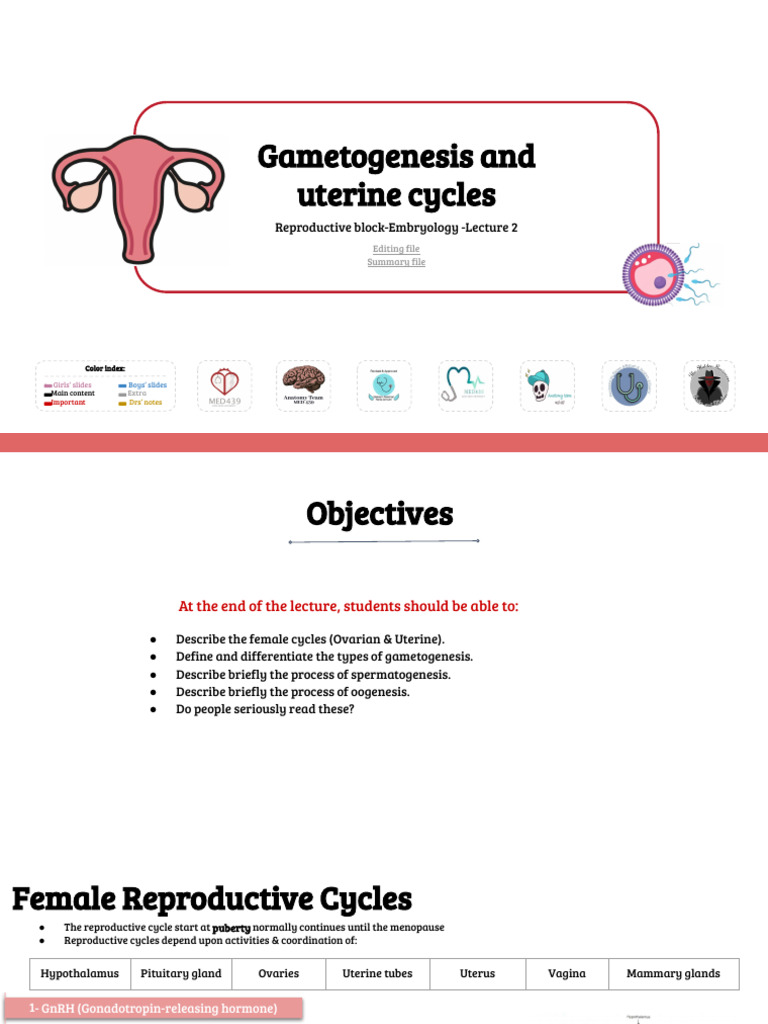 Gametogenesis and Uterine Cycles | PDF | Menstrual Cycle | Meiosis