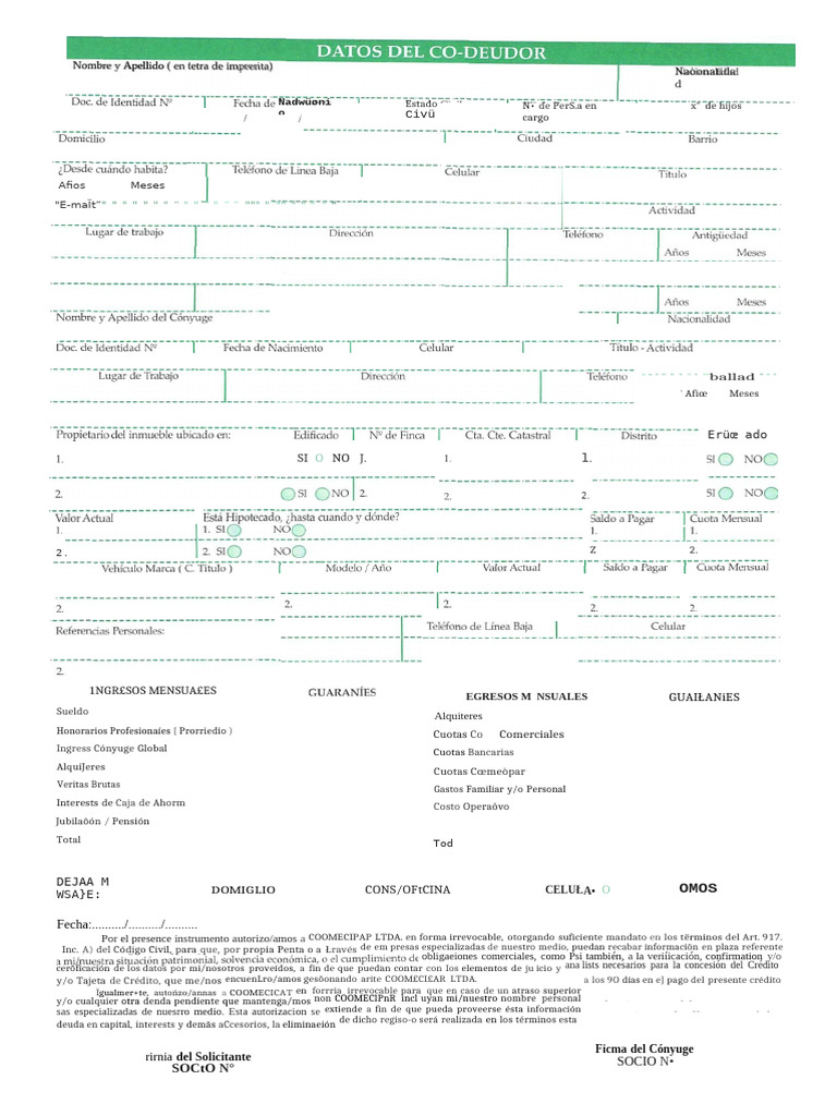Solic. Manual Deudor-Codeudor | PDF | Dinero