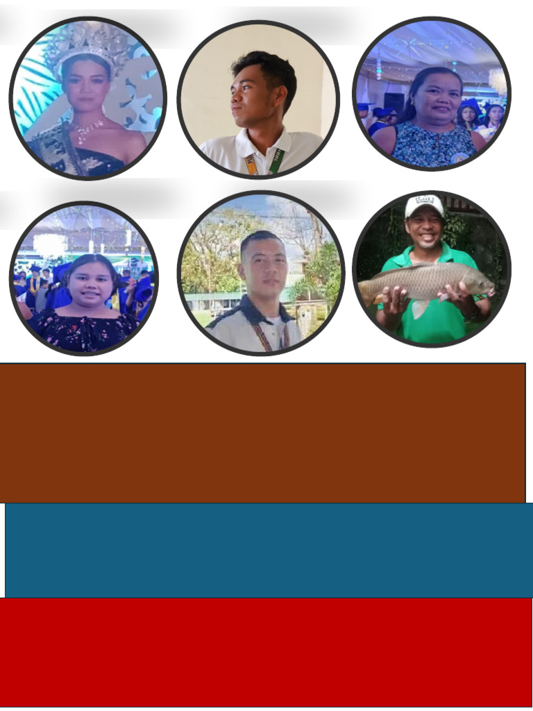 UCSP Project.. | PDF