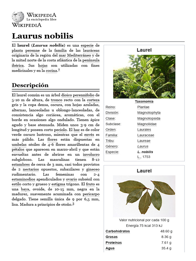 Laurus Nobilis - Wikipedia, La Enciclopedia Libre | PDF | Plantas ...