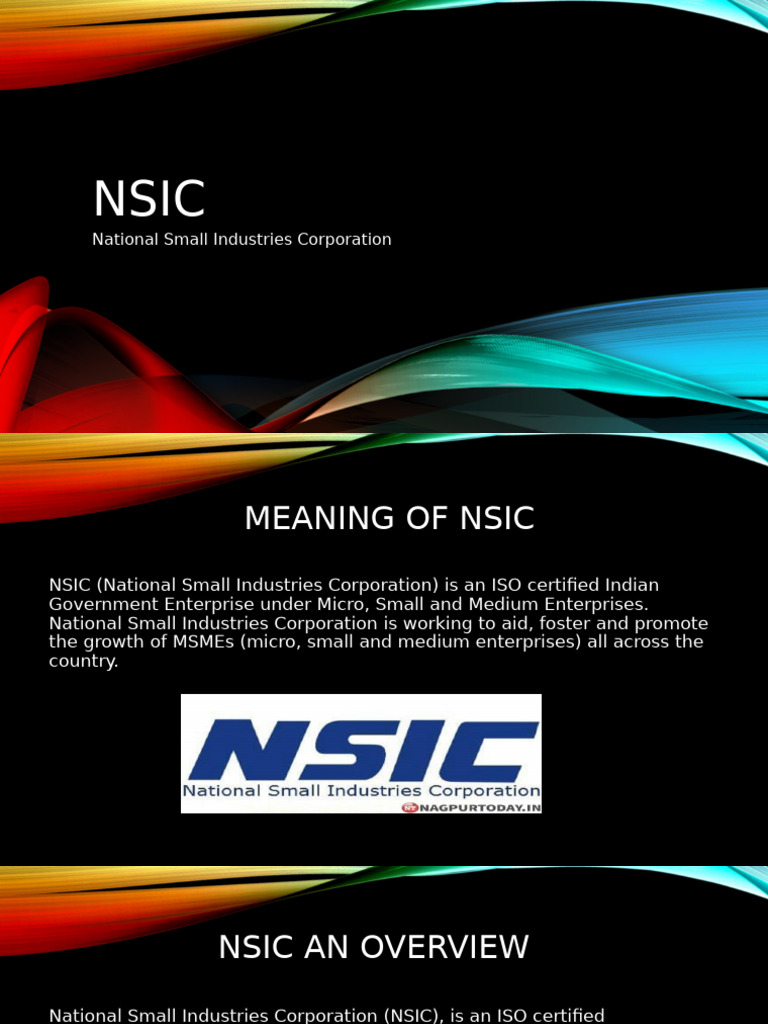 IEP - NSIC PPT | PDF | Credit | Finance & Money Management