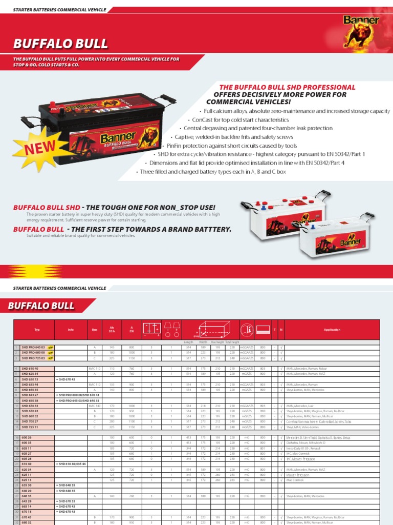 Banner Buffalo Bull | PDF | Battery (Electricity) | Vehicles