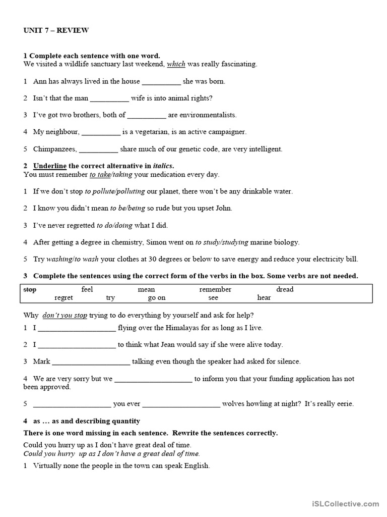 Vocabulary and Grammar Review Test | PDF
