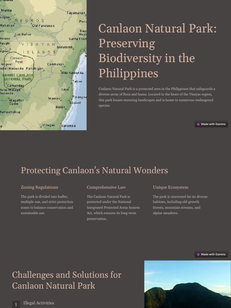 VISAYAS PA - Manio, Marc Sam Stephen | PDF