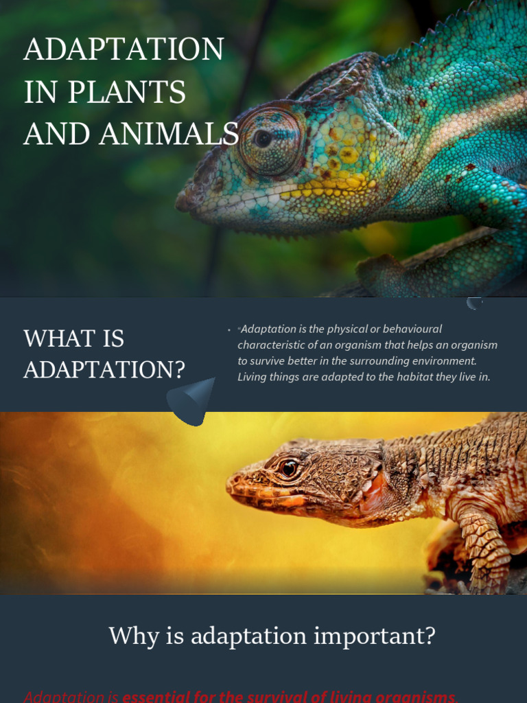 Adaptations in Flora and Fauna | PDF | Language Arts & Discipline