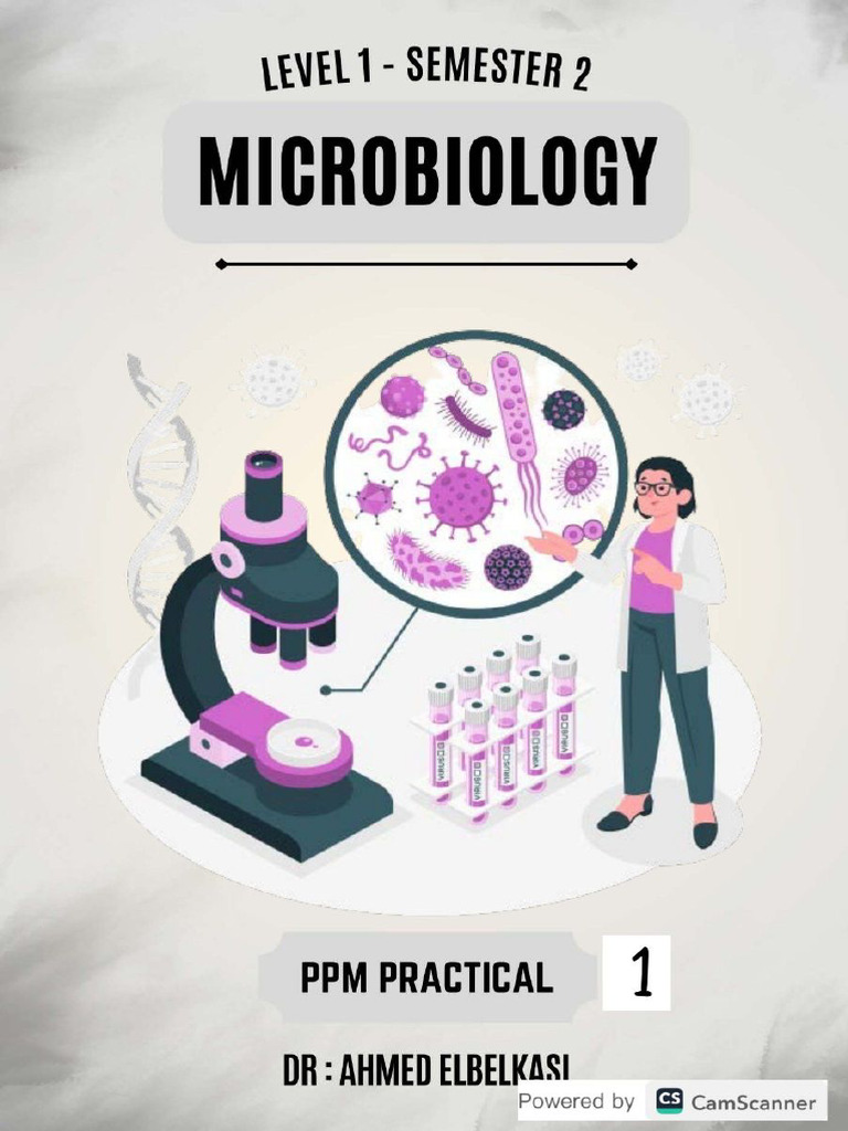 All Micro PPPM Prac | PDF