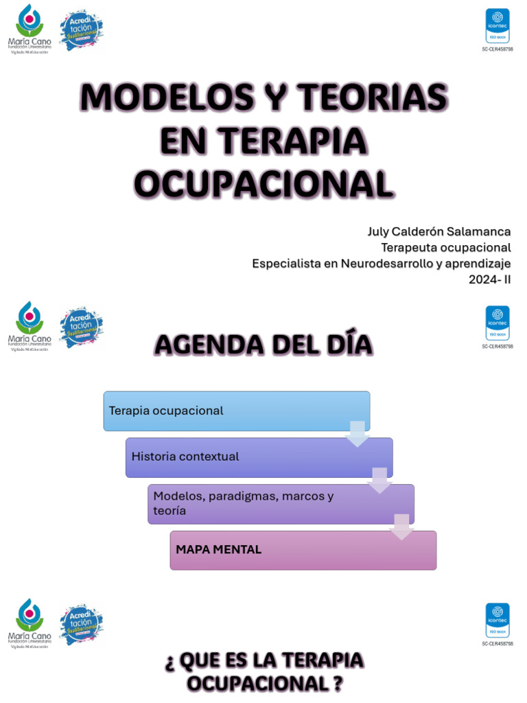 Modelos y Teorías en Terapia Ocupacional | PDF | Paradigma | Terapia ...