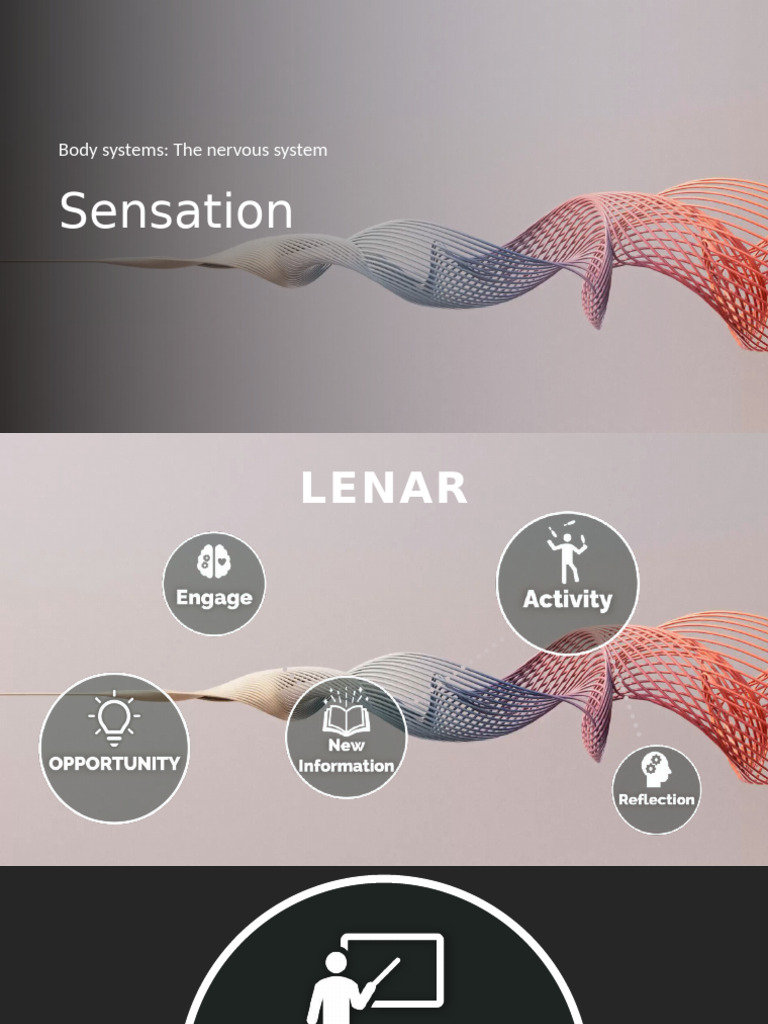 Sensation PowerPoint | PDF | Senses | Stimulus (Physiology)