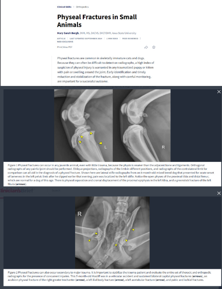 Physeal Fractures in Small Animals | PDF