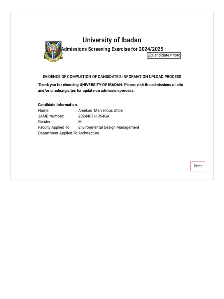 UI Undergraduate Admissions | PDF | Art