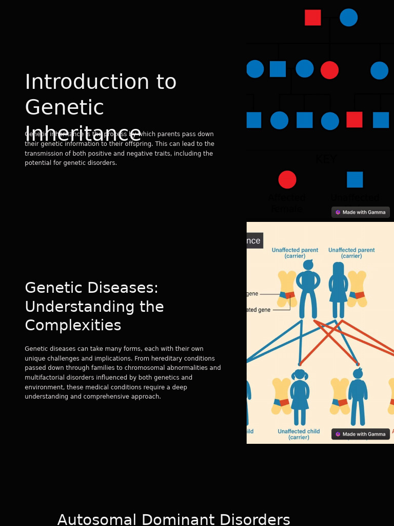 Introduction To Genetic Inheritance | PDF | Genetic Disorder | Medicine