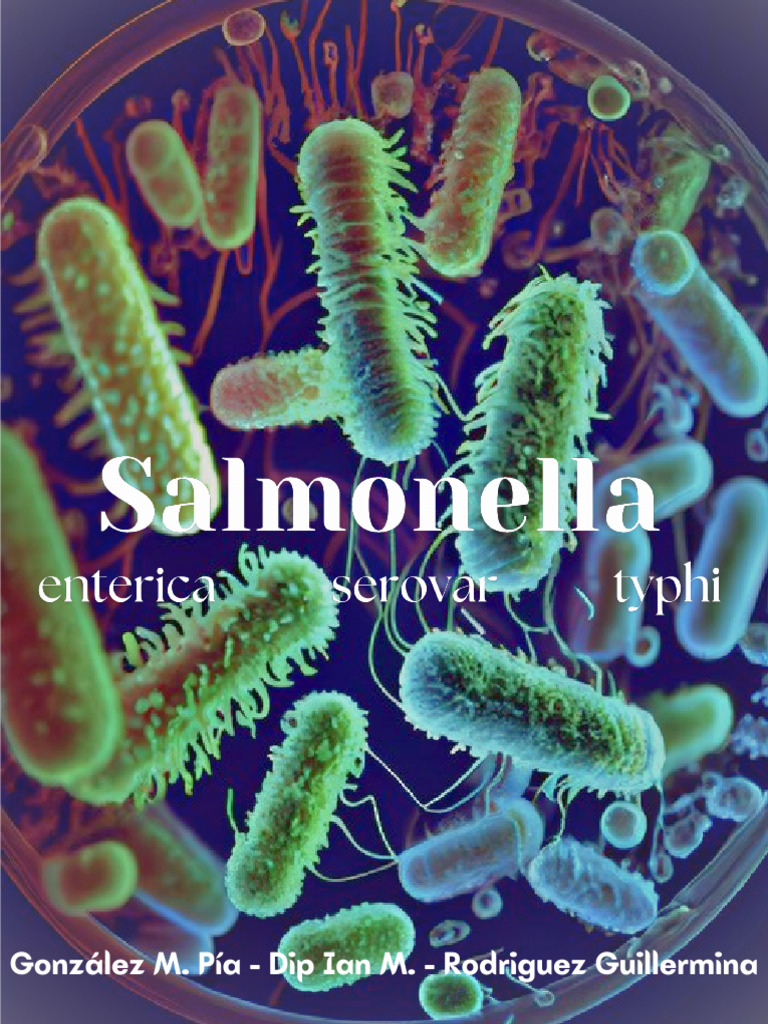 Salmonella | PDF