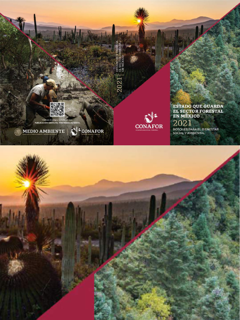 Libro Completo Egsfm Digital 1nov 1 Compressed Estado Que Guarda Sector ...