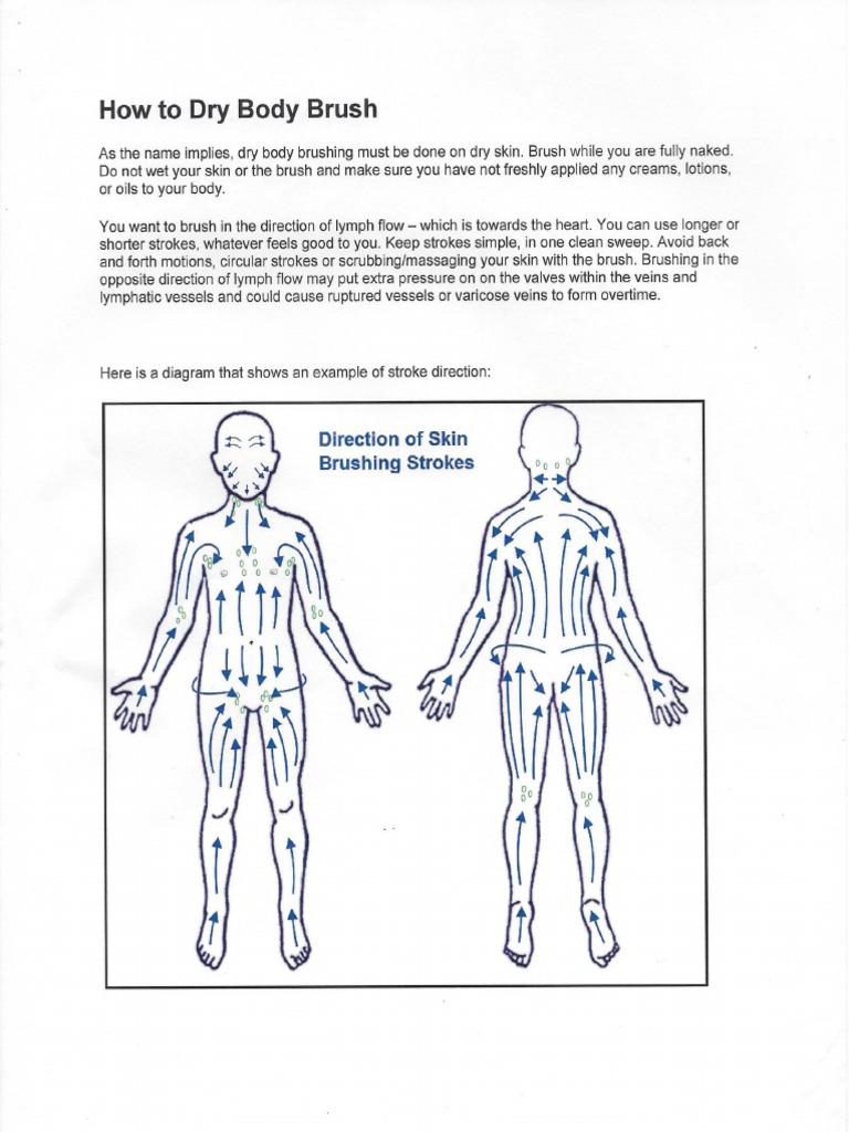 How To Dry Body Brush | PDF