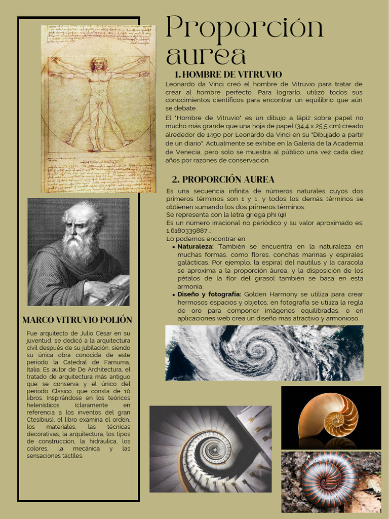 Proporción Aurea | PDF