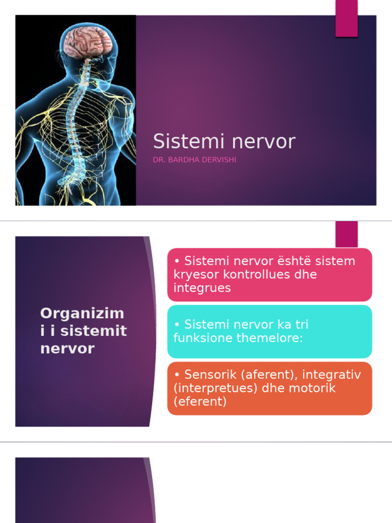 Sistemi Nervor | PDF