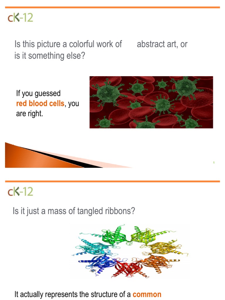 CK-12 Biology Flexbook | PDF | Biology | Cell (Biology)