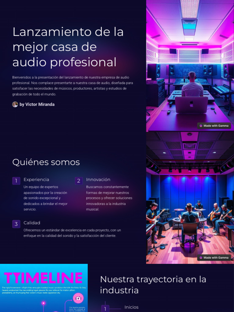 Lanzamiento de Casa de Audio Profesional | PDF | Calidad (comercial) | Ingeniero de audio
