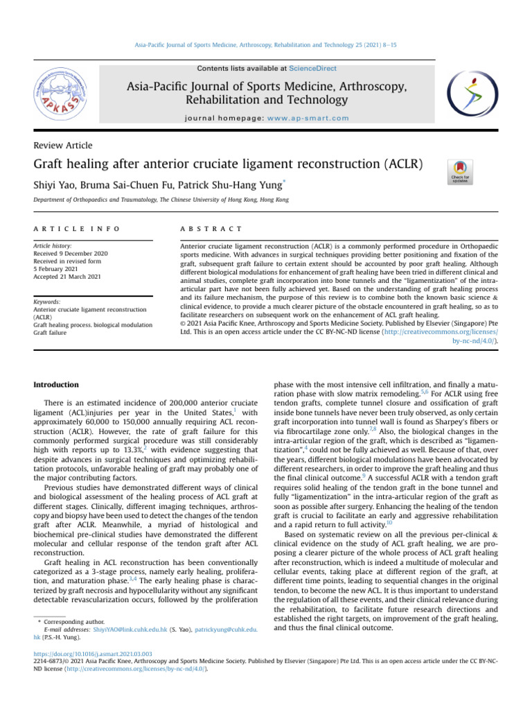 Plastia LCA | PDF | Ct Scan | Musculoskeletal System