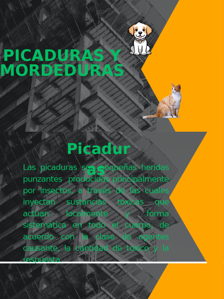 Tratamientos para Picaduras y Mordeduras | PDF