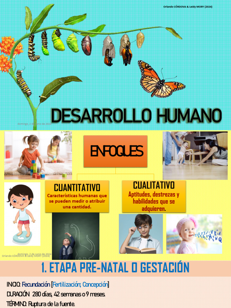 Desarrollo Humano | PDF | Adolescencia | Embrión