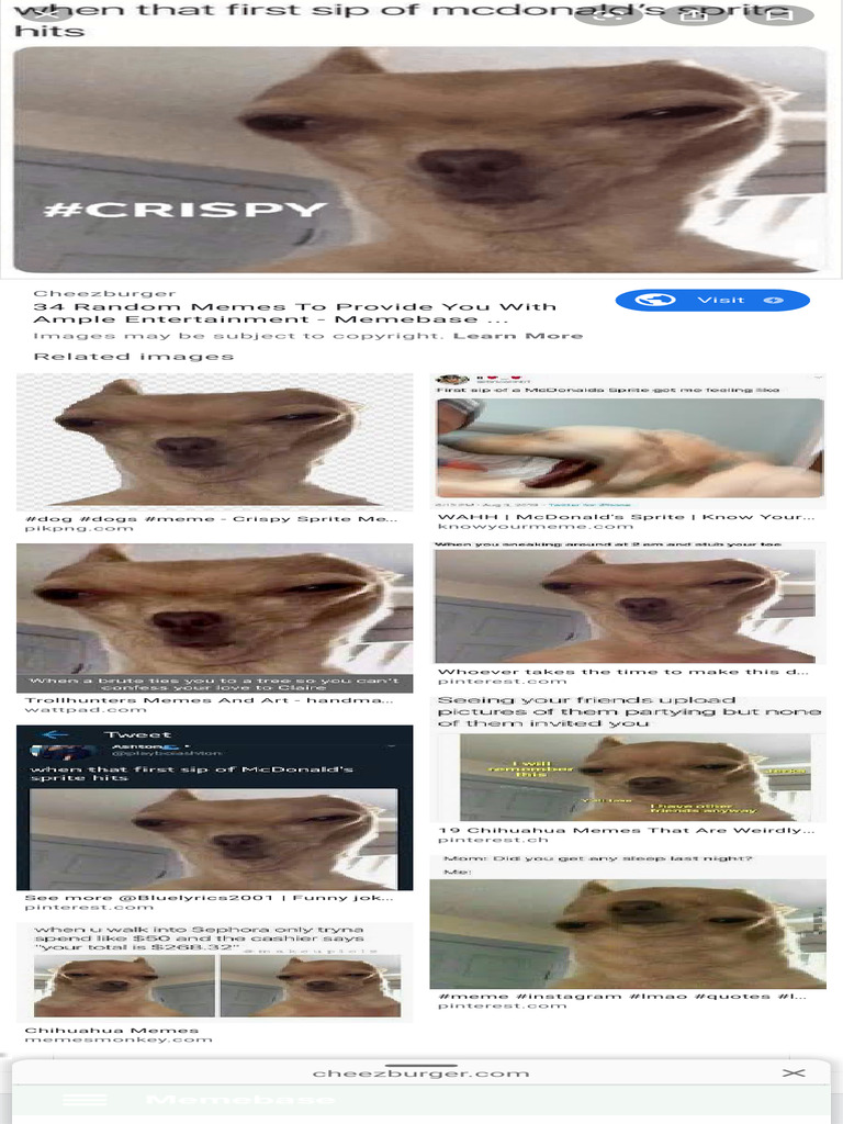 Dog Saying Crispy Meme - Google Search | PDF