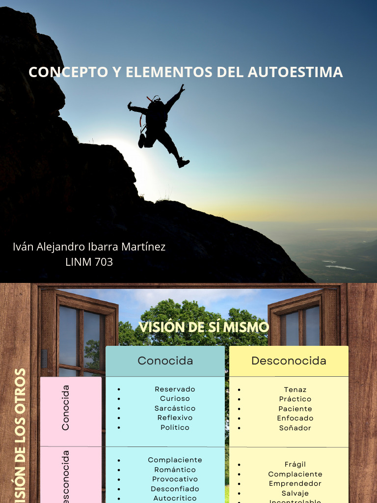 Concepto y Elementos Del Autoestima | PDF