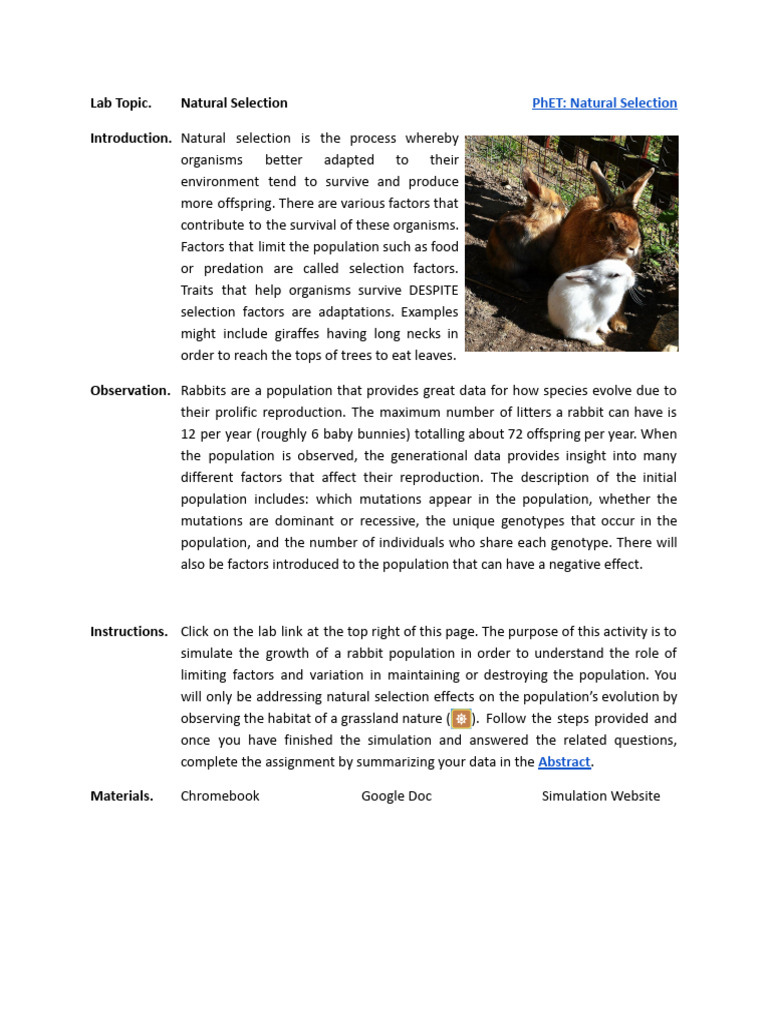 Logan Olson - Phet Lab - The Fittest Bunny (Sonnenberg) - 17347934 ...