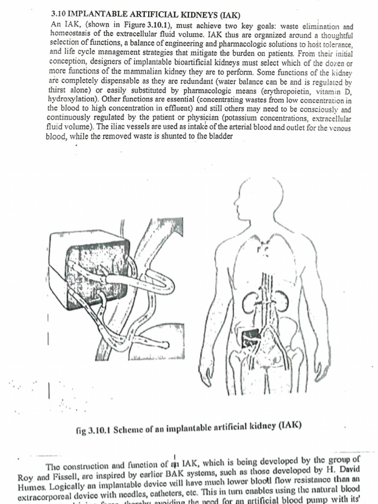 Implantable Kidneys: Artificial | PDF | Kidney | Hemodialysis