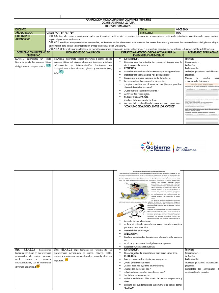 8vo - Planificación - Animación A La Lectura | PDF | Aprendizaje | Cognición
