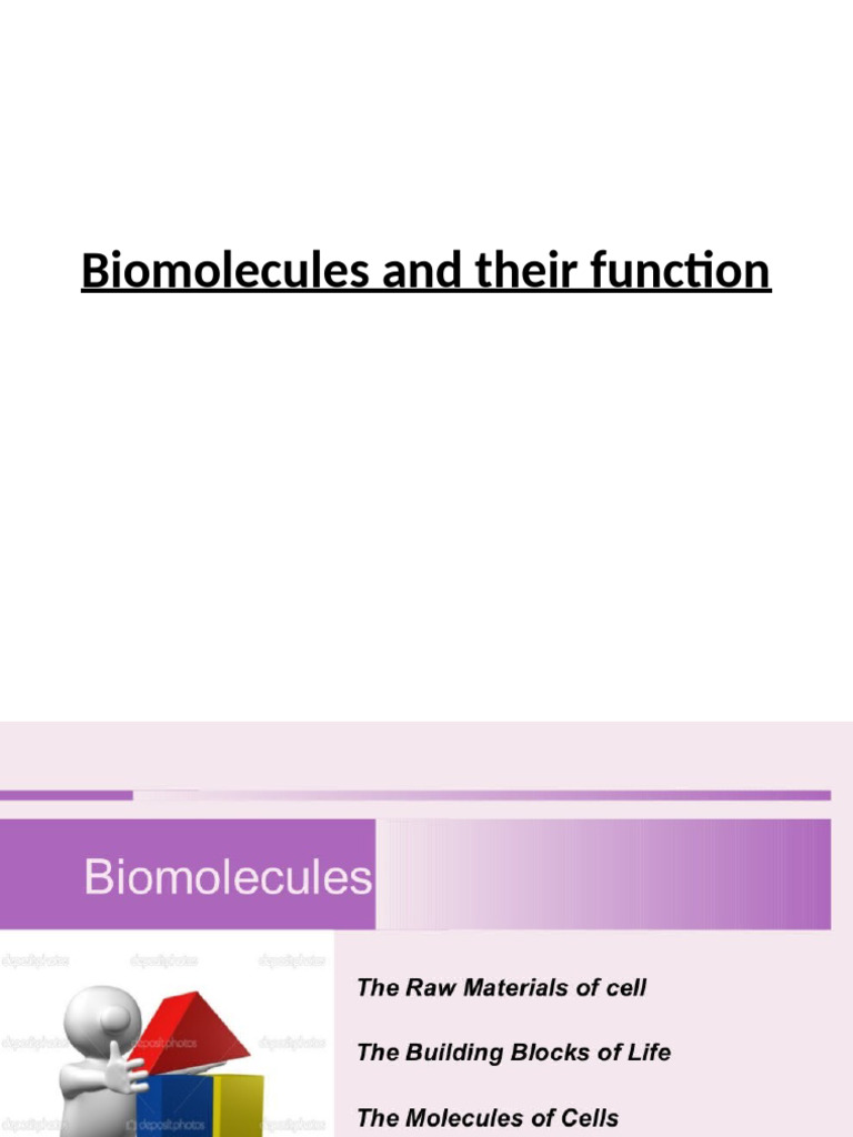 Biomolecules and Their Functions | PDF