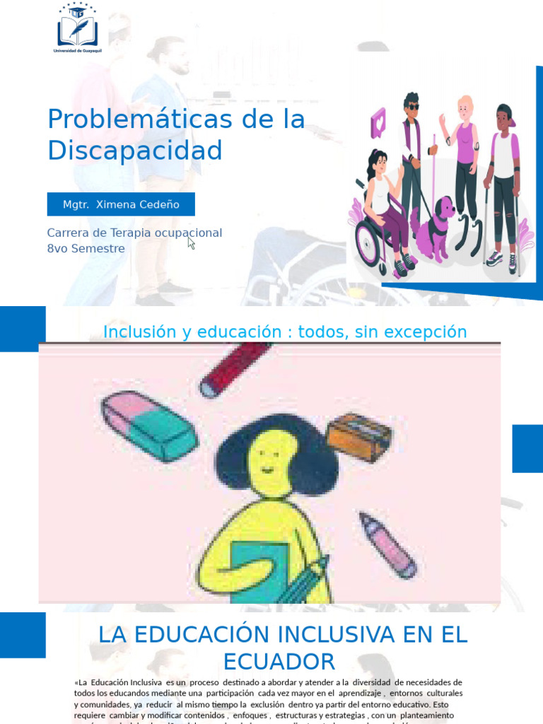 Presentación Problematica de La Discapacidad - 5 | PDF | Inclusión (Educación) | Invalidez
