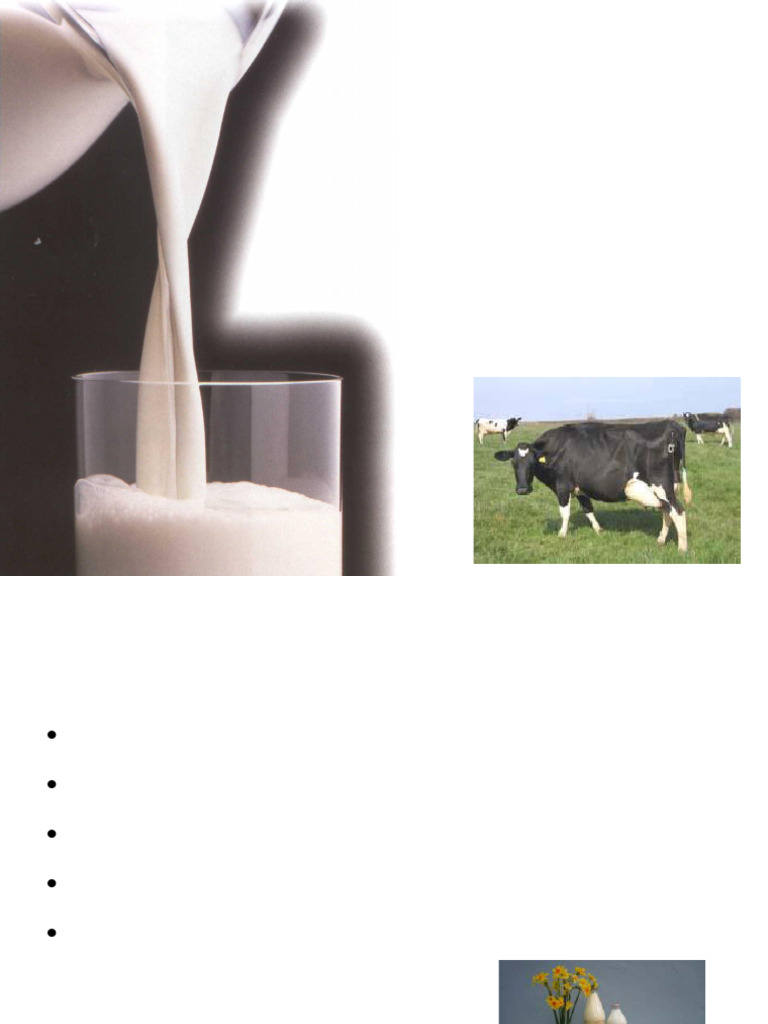 Fisiologi Laktasi Bionut 1 | PDF