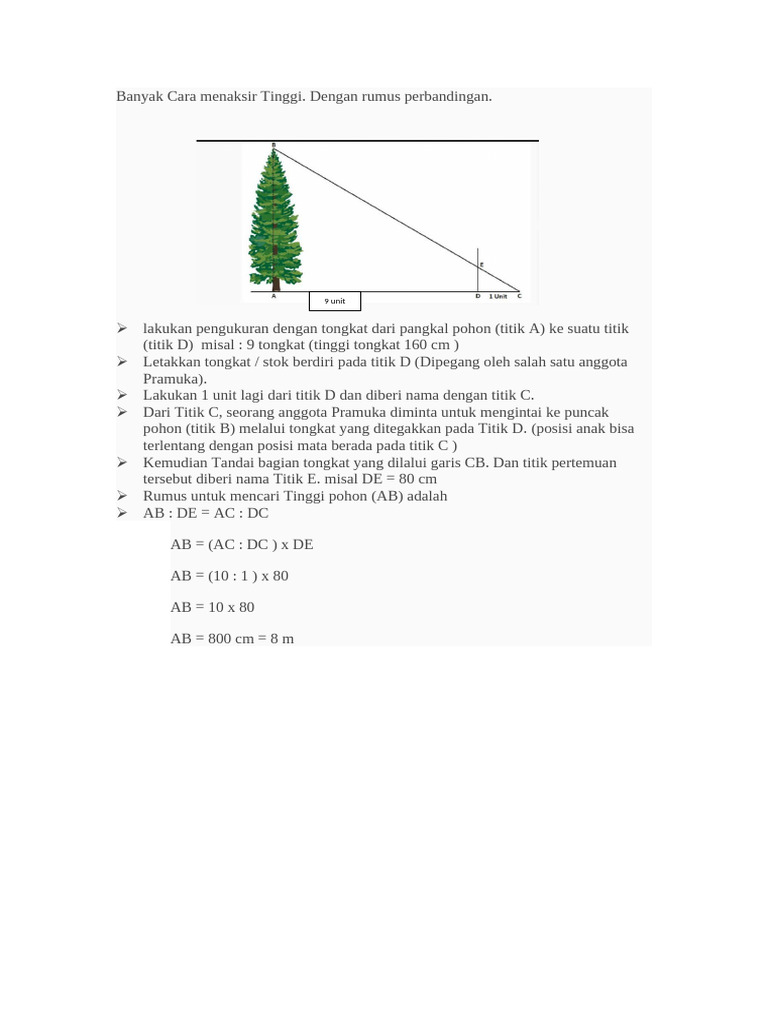 Menaksir Tinggi | PDF | Metode & Bahan Ajar