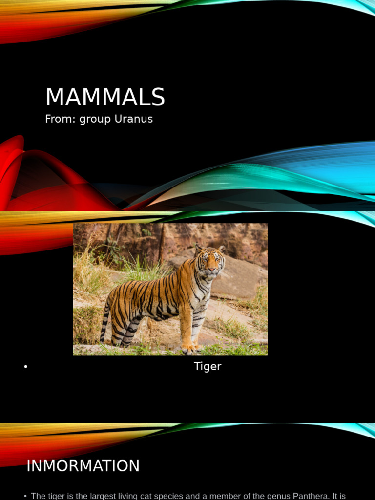 Mammals | PDF