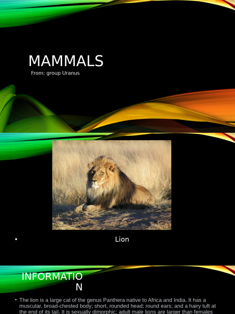 Mammals 2 | PDF