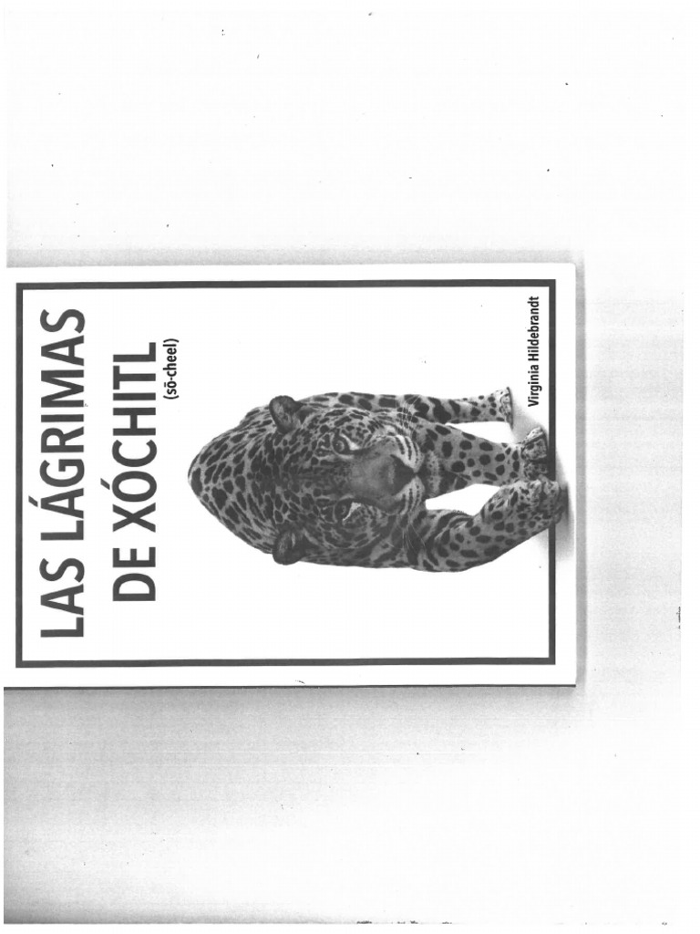 Xochitl Book - Student | PDF