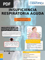 Estudio de La Relacion Safi y Pafi Iess 2020 | PDF | Respiración ...