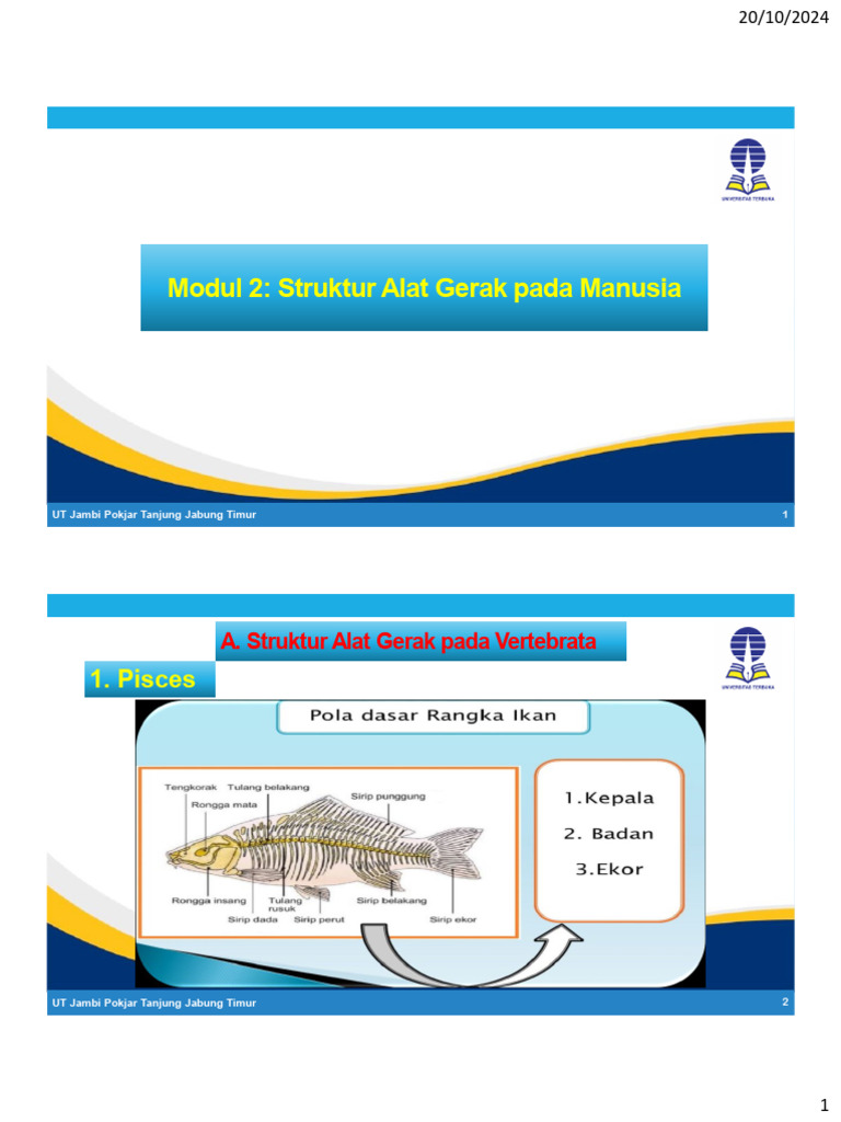 Materi 2 - Modul 2 Konsep Dasar Ipa SD | PDF
