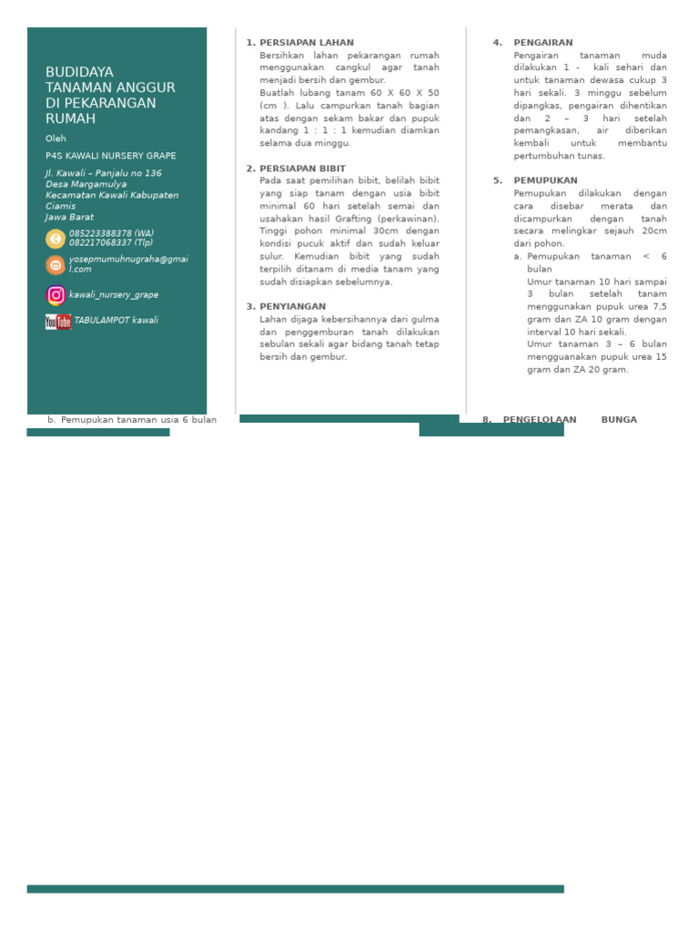 Modul Budidaya Tanaman Anggur | PDF | Griya & Taman | Sains & Matematika