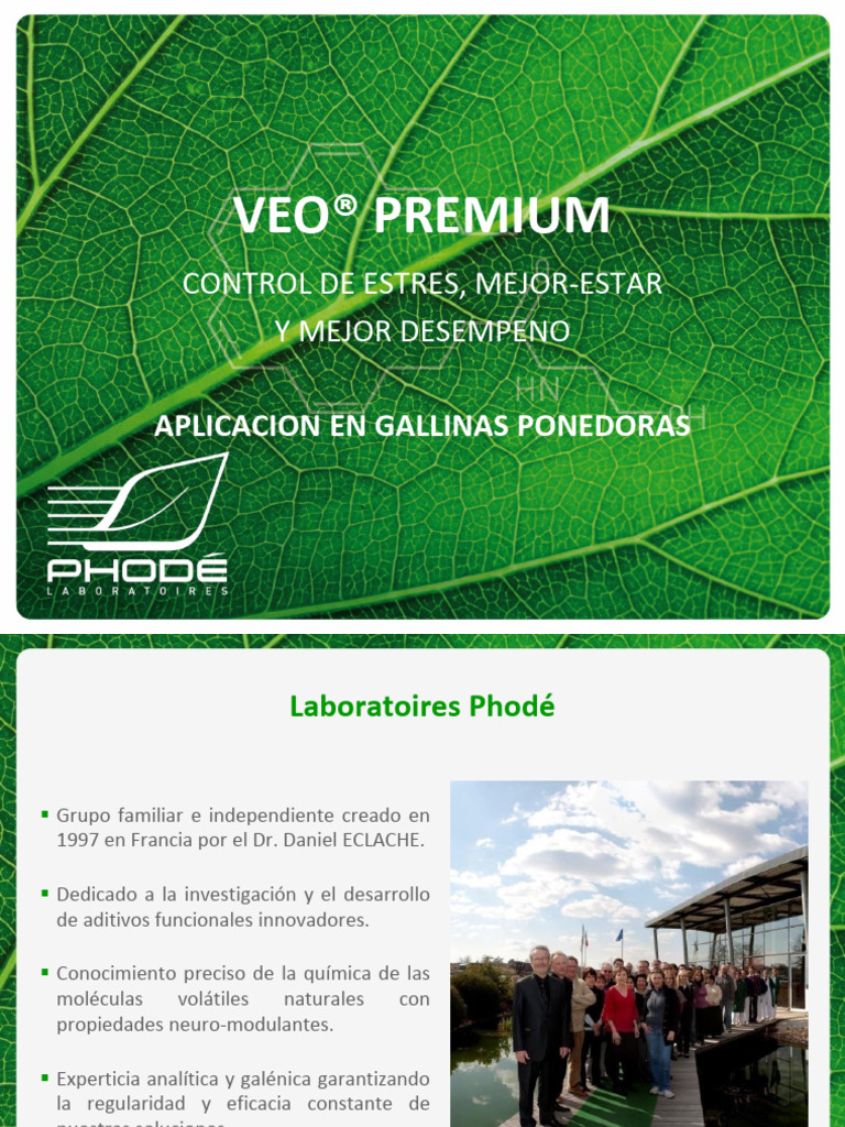 Veo Premium - Gallinas | PDF