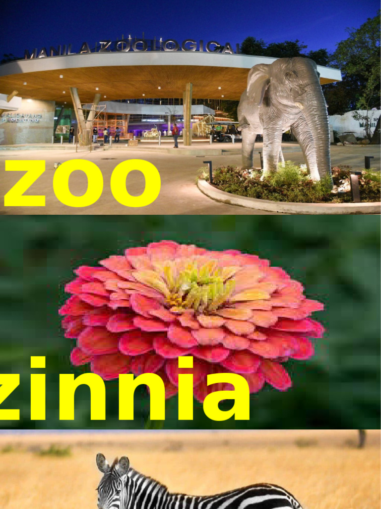 Powerpoint Letrang ZZ | PDF