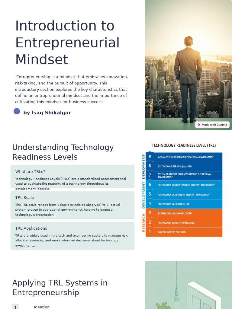 Introduction To Entrepreneurial Mindset Pdf Entrepreneurship Mindset