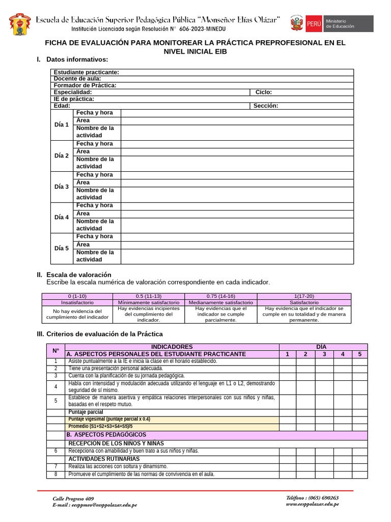 Evaluación de Práctica Preprofesional EIB | PDF | Aprendizaje | Cognición